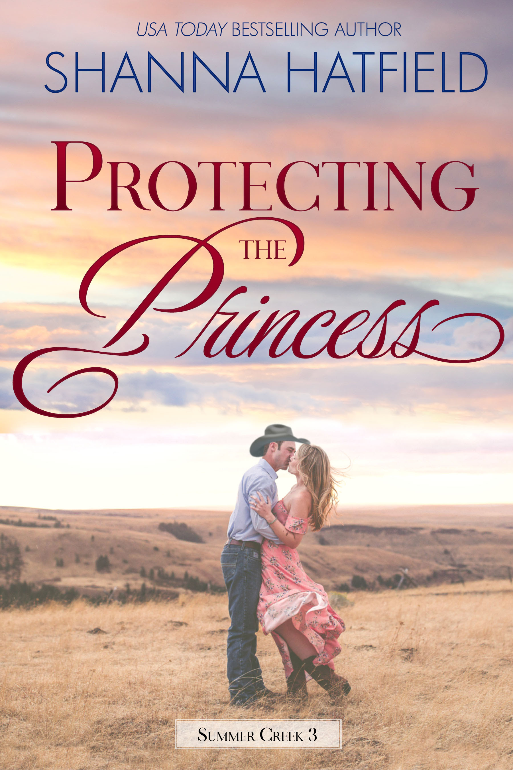 New Release Spotlight! Protecting the Princess, A Small-Town Clean ...